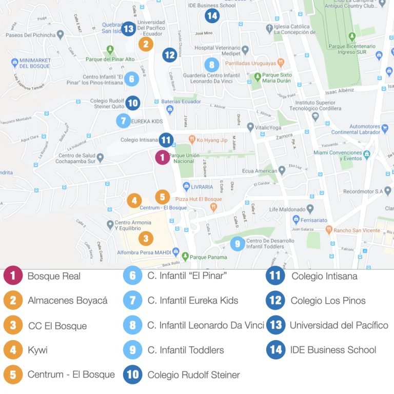 Bosque Real - Ximena Ortiz